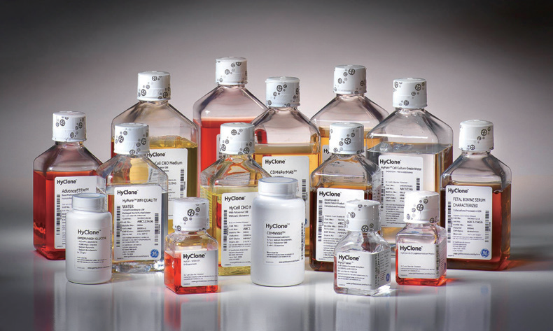 DMEM with High Glucose, with L-Glutamine, without Phenol Red, Sodium Pyruvate