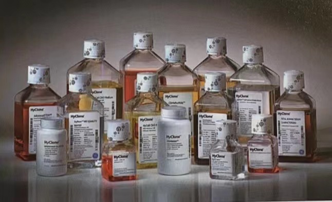 MEM液体培养基 MEM with Earle's Balanced Salt Solution (EBSS), with 2.0 mM L ...