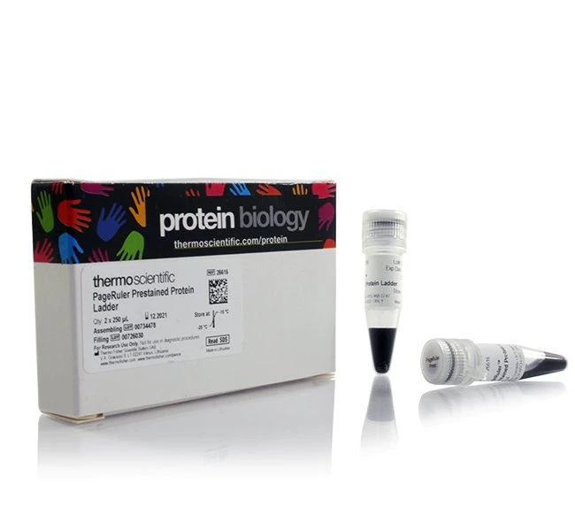 PageRuler™ Prestained Protein Ladder, 10 to 180 kDa