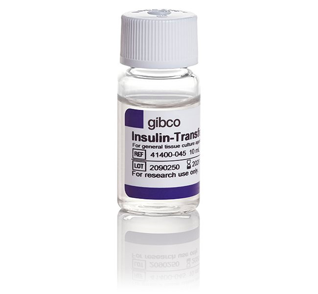 Insulin, Transferrin, Selenium Solution (ITS -G), 100X