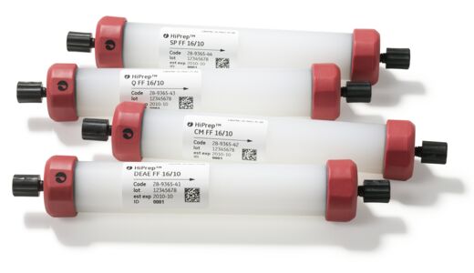 HiPrep DEAE FF 16/10