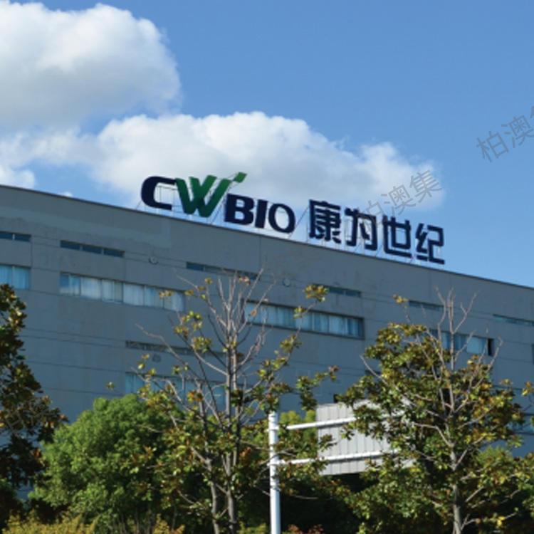 HRP conjugated ANTI his-tag mouse monoclonal antibody