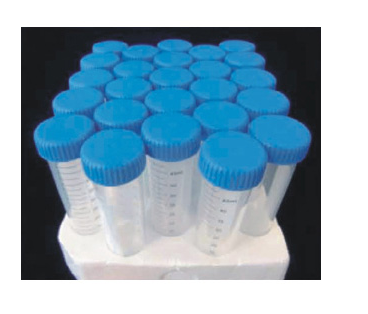 LabServ Cell-PLUS 50ml 离心管，平盖，聚苯烯，无RNase/DNase/热源，无菌（替代T_803310109004）